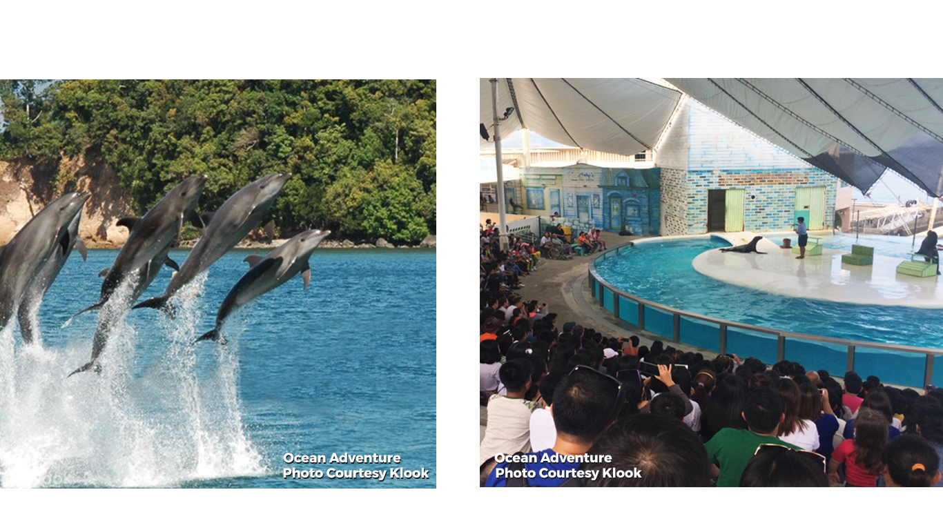 The Hauslands | List of fun activities you shouldn’t miss in Subic ...